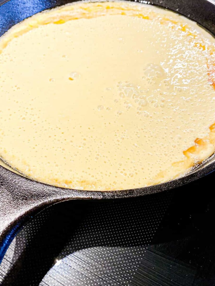 Sourdough Kaiserschmarrn Recipe (Austrian Shredded Pancake) - Stretch ...