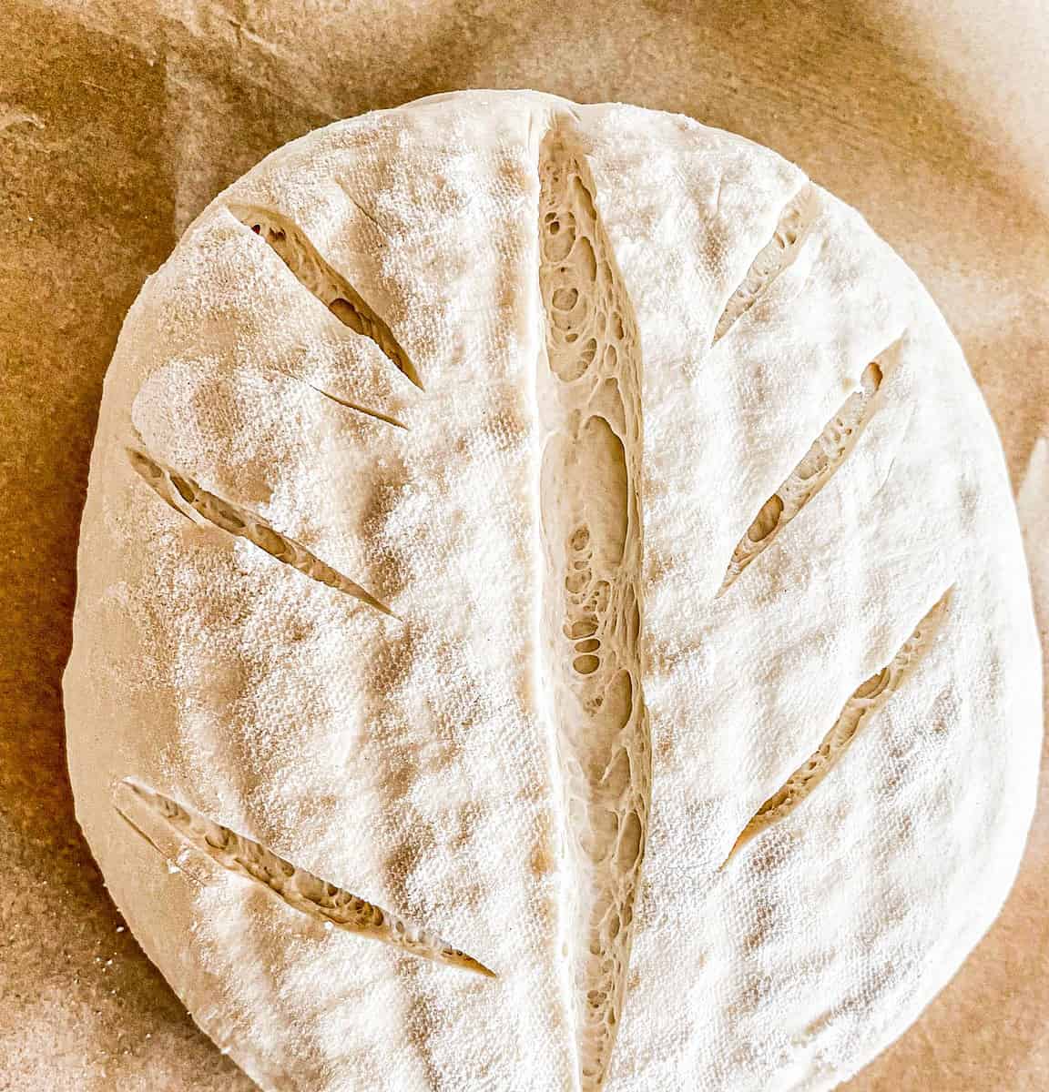 How To Batch Bake Sourdough Bread - Stretch and Folds