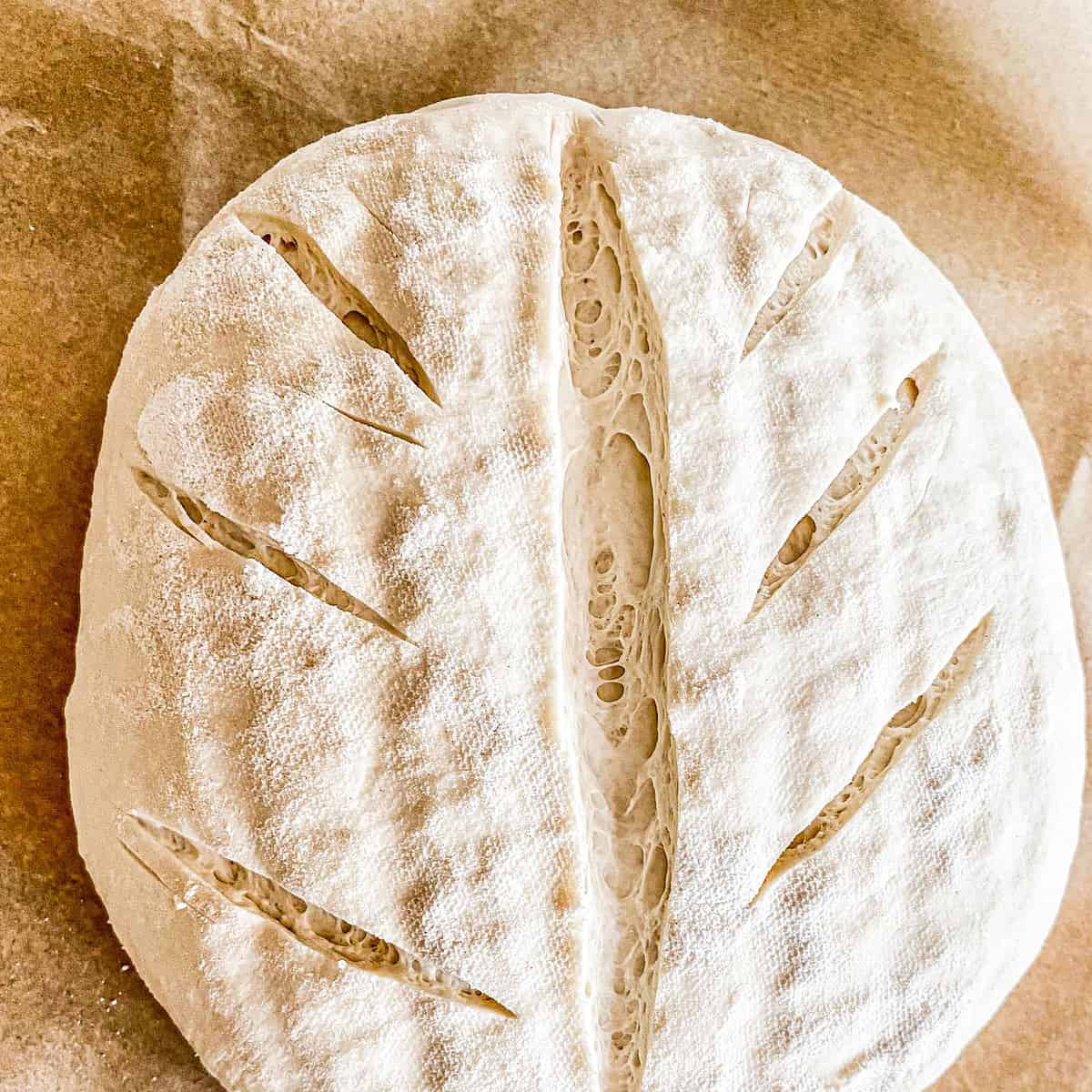 How To Batch Bake Sourdough Bread - Stretch and Folds