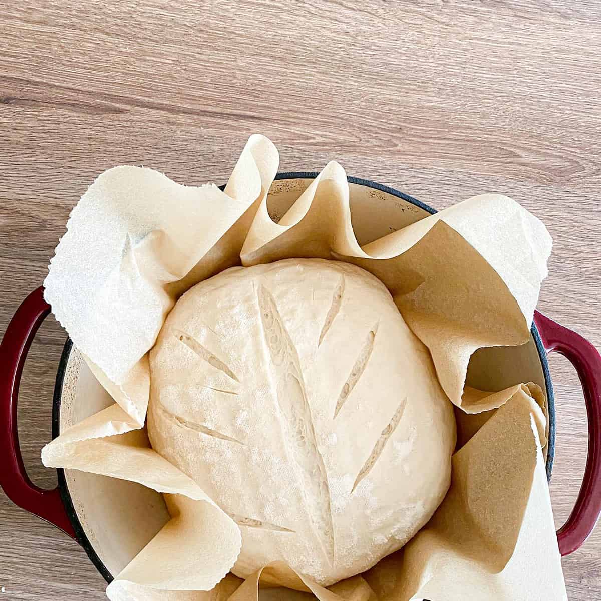 How To Batch Bake Sourdough Bread - Stretch and Folds