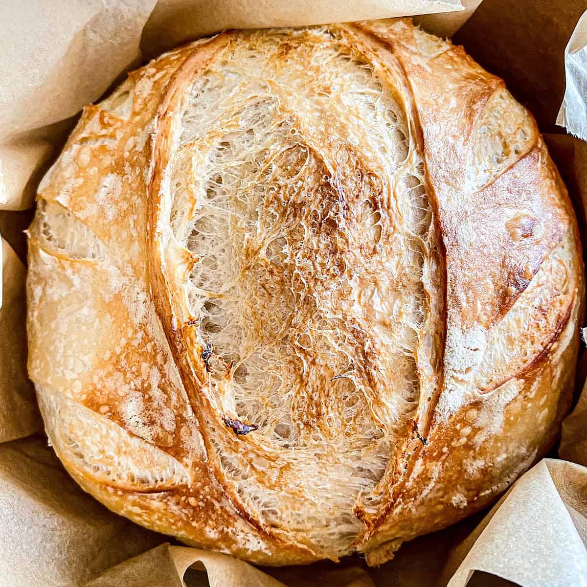 How To Batch Bake Sourdough Bread - Stretch and Folds