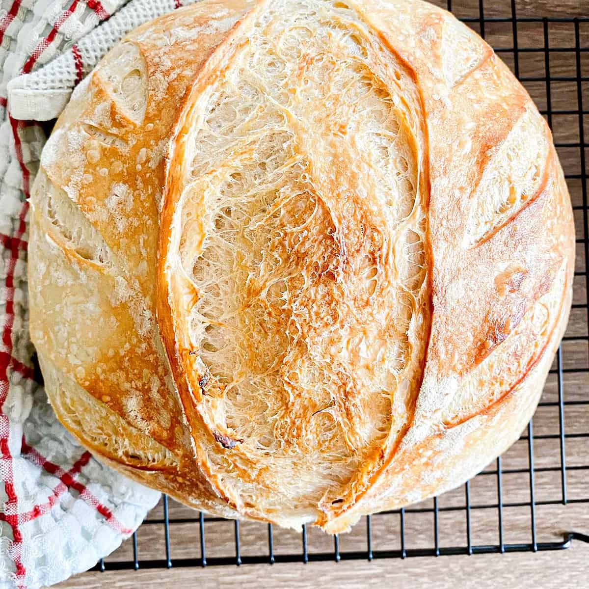 How To Batch Bake Sourdough Bread - Stretch and Folds