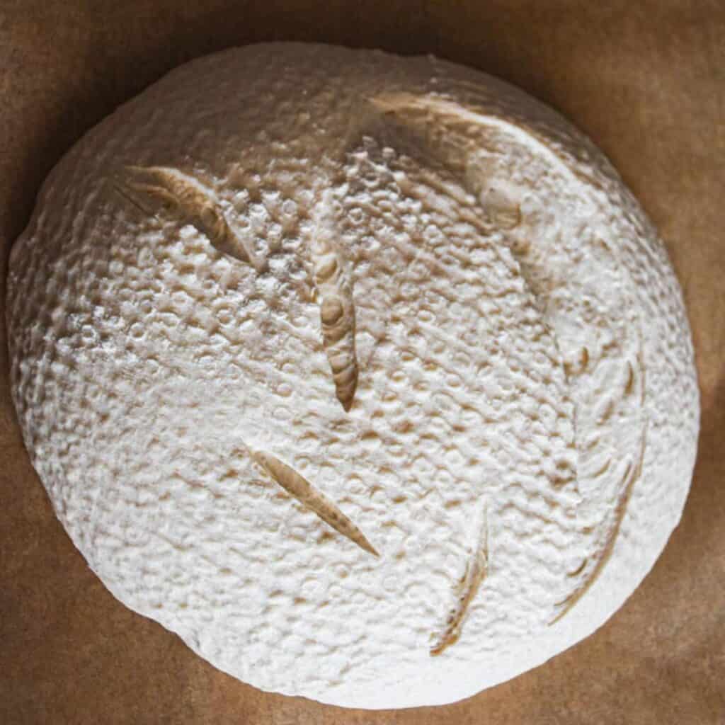 Long Fermented Sourdough Bread Recipe - Beginner's Guide - Stretch and ...