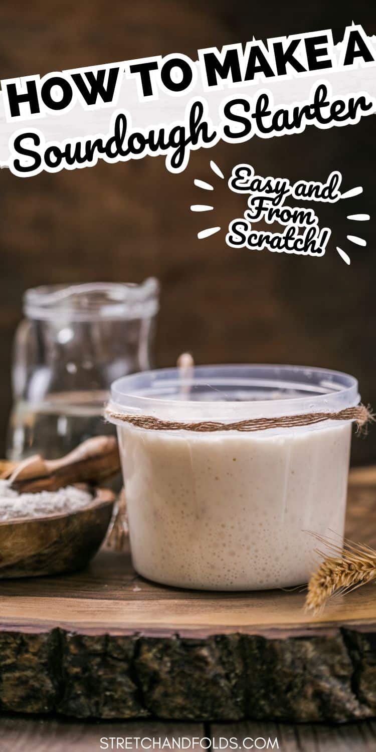 How to Make a Sourdough Starter (Easy and Simple) - Stretch and Folds