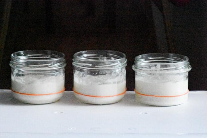 What is a 100% Hydration Sourdough Starter and is it the Best ...