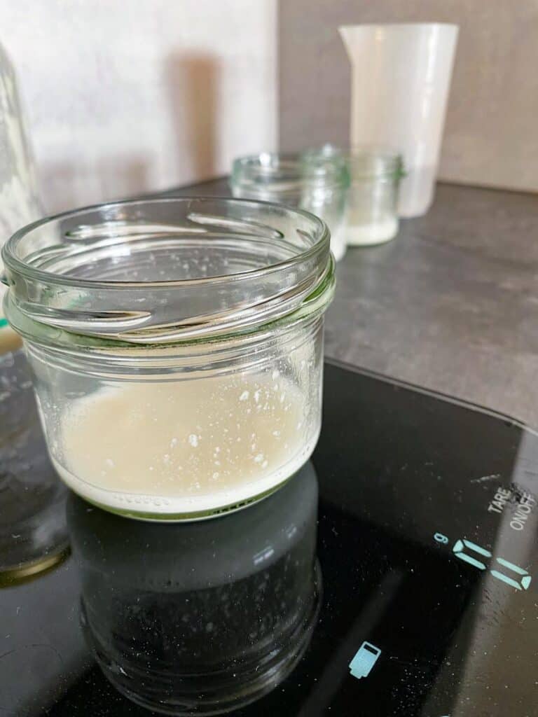 What is a 100% Hydration Sourdough Starter and is it the Best ...