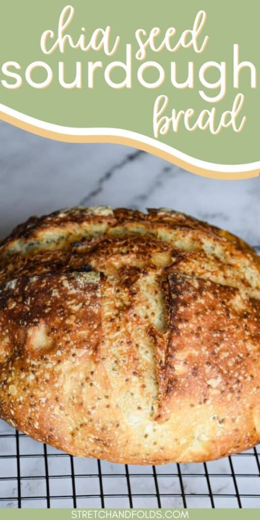 Chia Seed Sourdough Bread Recipe - Fast Version - Stretch and Folds