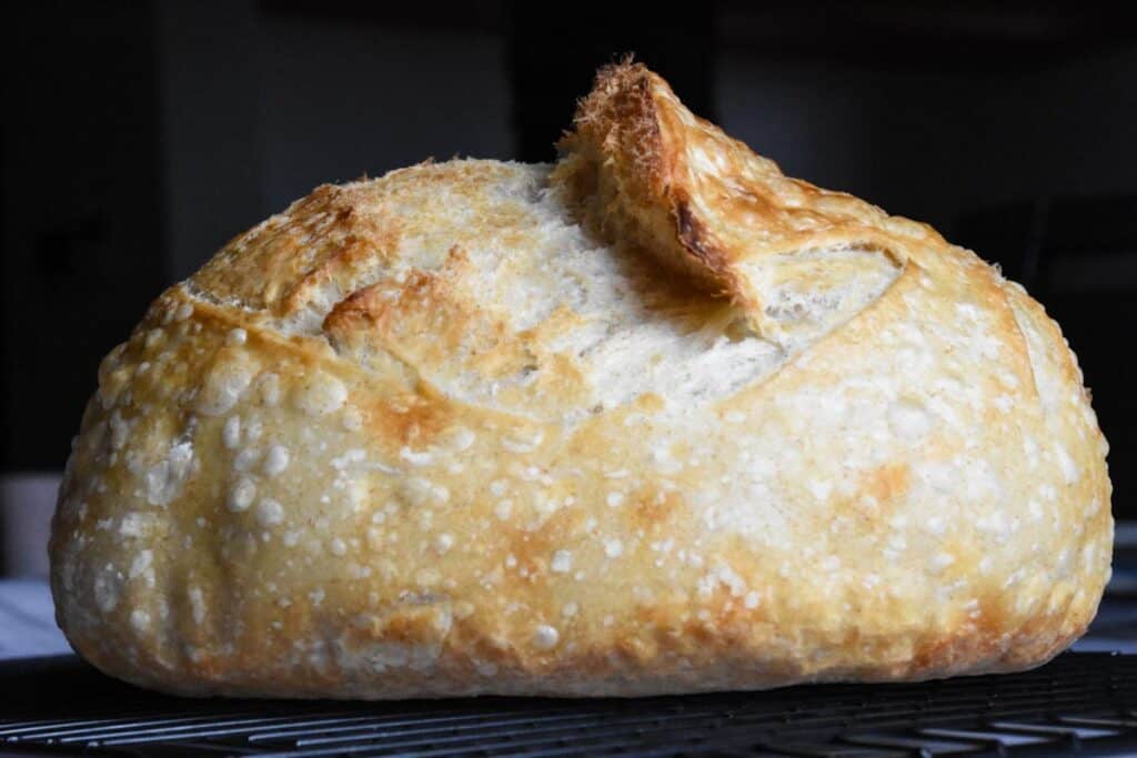 What is AUTOLYSE and How to Use it in Sourdough Baking! - Stretch and Folds