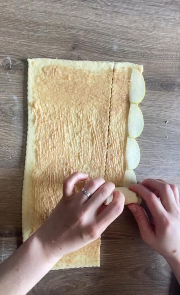 Sourdough Apple Cinnamon Roll Roses Recipe - Stretch and Folds