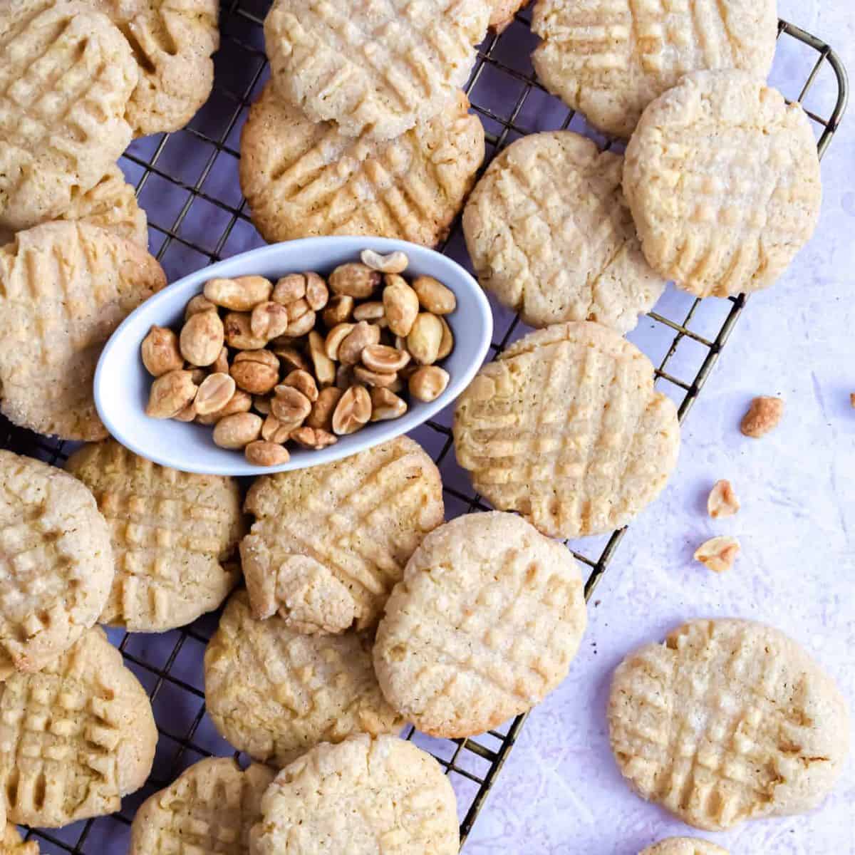 Sourdough Discard Chocolate Coconut Cake Squares - Stretch and Folds