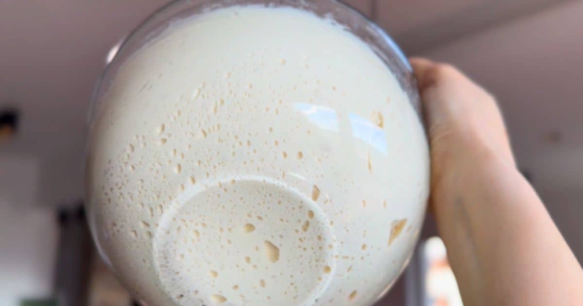 10 Sourdough Bulk Fermentation Tips for Beginners - Stretch and Folds