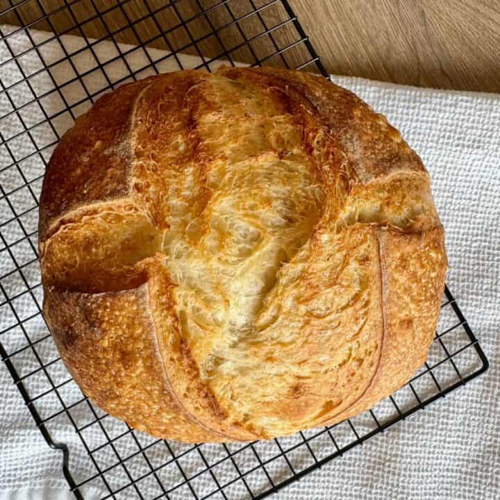 Sourdough Bread in a Loaf Pan (Two-Pan Method) - Stretch and Folds