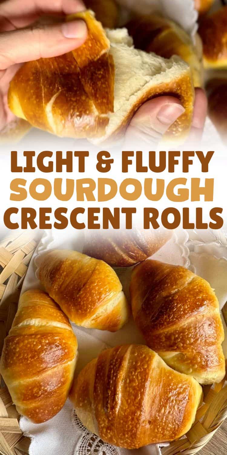 Soft Sourdough Crescent Rolls - Stretch and Folds